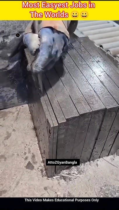 most easyest jobs in the worlds 😀😀 fact facts youtube