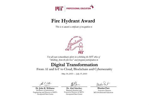 MIT Professional Education Fire Hydrant Award: Digital Transformation ...