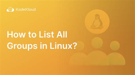 How to Unzip Files to a Specific Directory in Linux