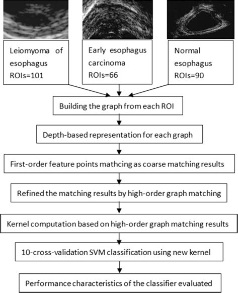 Schematic Diagram Of The Proposed Classification Framework Download