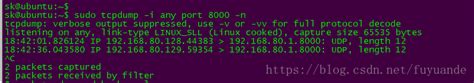 Linux 套接字编程 套接字选项sobindtodevice 绑定接口 示例linux Socket绑定eth Csdn博客