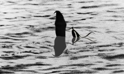 Nessy Potassium Naked Banana Know Your Meme