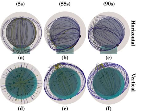 Snapshots From The Time Evolution Of The Mt Cytoskeleton Configuration