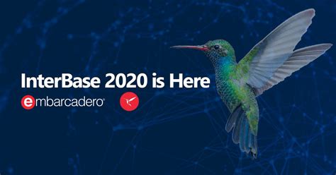 Learn To Setup A Powerful Encrypted Interbase Database For C