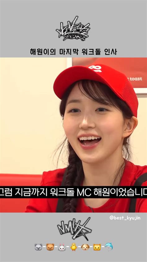 트램폴린이 재밌는 아기 고양이 엔믹스 Nmixx Fe3o4 Forward Know About Me Jyp 릴리 해원 설윤 배이 지우 규진