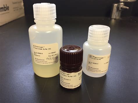 Bd Cell Fixation Buffer At Marcy Bush Blog