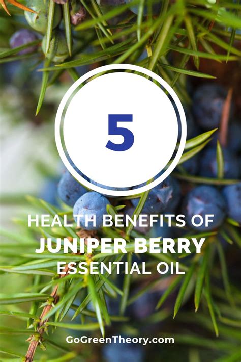 Five Health Benefits Of Juniper Essential Oil