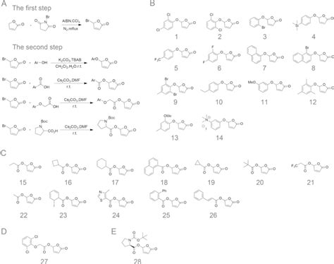 Classification And Synthesis Steps For Compounds A Two Step Synthesis