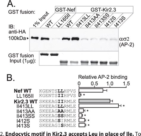 Figure 1 From A Tandem Di Hydrophobic Motif Mediates Clathrin Dependent Endocytosis Via Direct