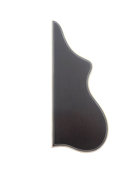 Ebony Mandolin Pickguard F Model Bound Elderly Instruments