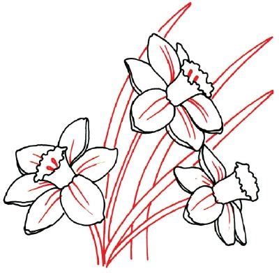 How To Draw A Daffodil Step By Step Tutorial