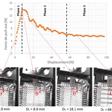 Different Phases Of Preforming Defects Appearance Download