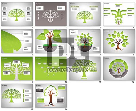 Tree Diagrams For Powerpoint Presentations Download Now Poweredtemplate Com