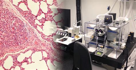 Langmuir Trough Itn Snal Marie Curie Initial Training Network