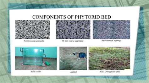 Experimental Analysis Of Phytorid Technology Installed In Sewage Pptx