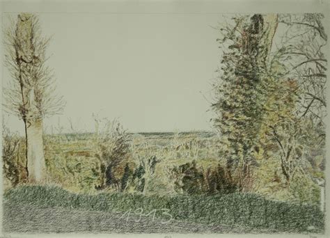 Landscapes — Thomas Lohmann