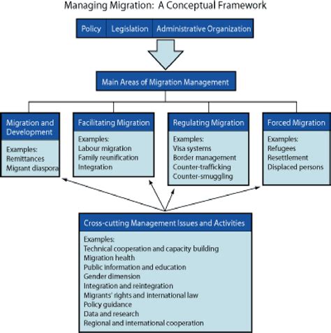 International Migration Examples