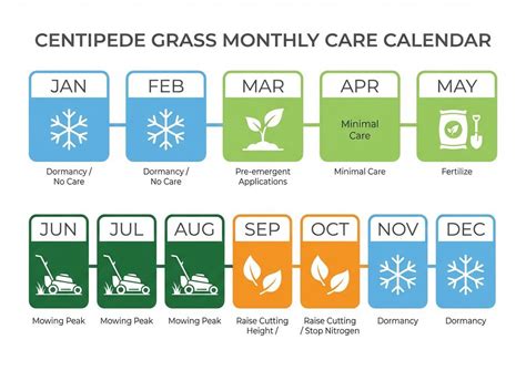 Centipede Grass Care Mowing Watering And Fertilizer