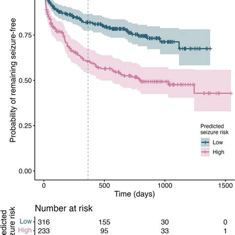 Survival Curve For Seizure Freedom After The Eeg Dependent On The Risk