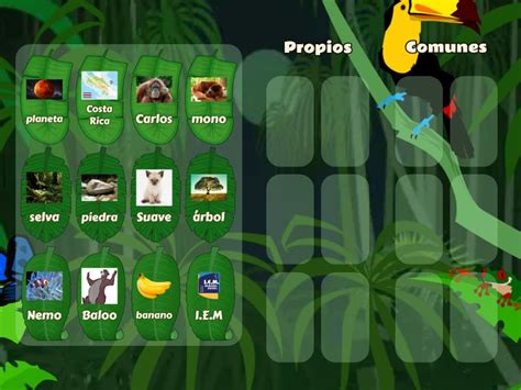 Clasificación de sustantivos Group sort