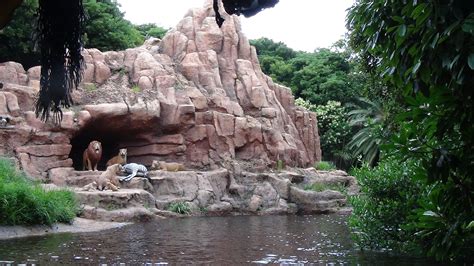 Tokyo Disneyland Jungle Cruise