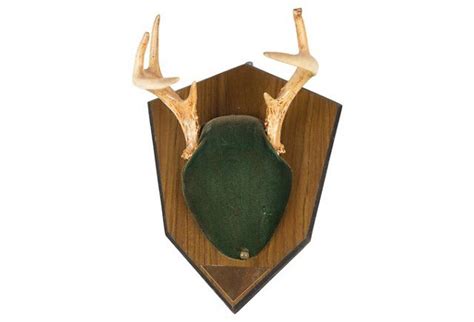 Mounted Deer Antlers On Green Velvet Crown Mount Deer Velvet Antler
