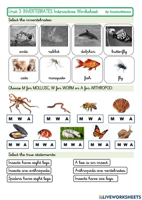 Invertebrates Interactive Exercise For Grade 2 Science And Nature