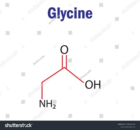 Glycine Amino Acid Formula Structure Chemical Stock Vector Royalty
