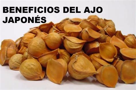 ¿sabe Cómo Sembrar Ajos Aprenda Aquí Te Enseñamos Como Hacerlo