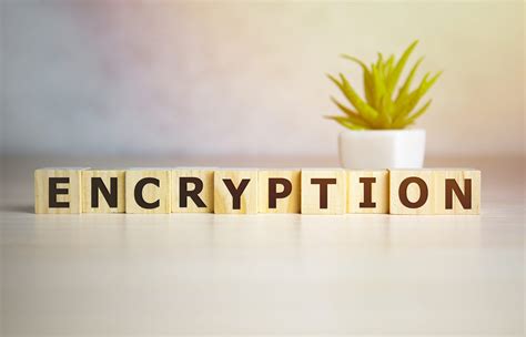 Useful Ways To Implement Encryption Into Your Office Workflows