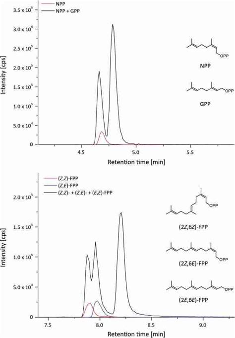 Lcmsms Separation Of Short Chain Cisoid And Transoid Prenyl Download Scientific Diagram