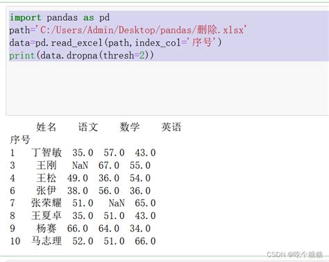 14 pandas 空值处理 pandas如果是空集等于某个值 csdn博客