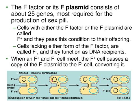 Agenda 12 17 Start With Next Slide As Intro Ppt Download