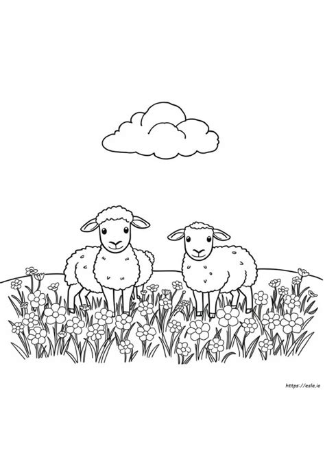 Sheep Colouring Picture