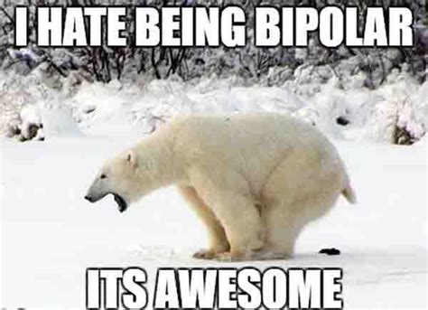 80 Best Bear Meme Meme Central