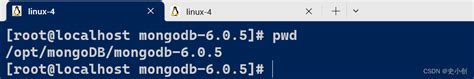 linux安装单机mongodb6 0 5 使用tar包安装 mongodb tarball包安装 csdn博客