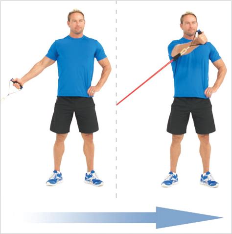 Упражнения на плечи в тренажерном зале