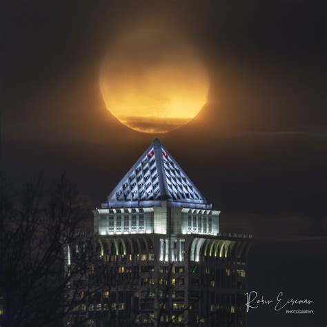 Robin Eiseman Photography