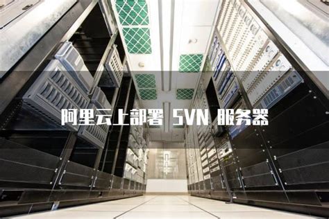 阿里云上部署 svn 服务器