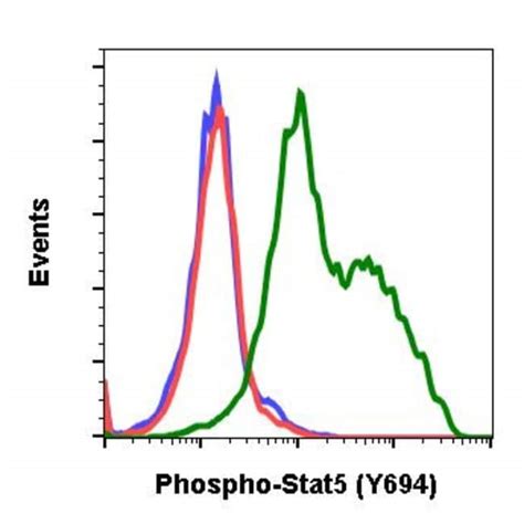 Phospho Stat5 Tyr694 Recombinant Rabbit Monoclonal Antibody