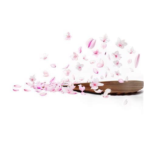 Download Falling Sakura Petals Png Ffi Wallpapers Com