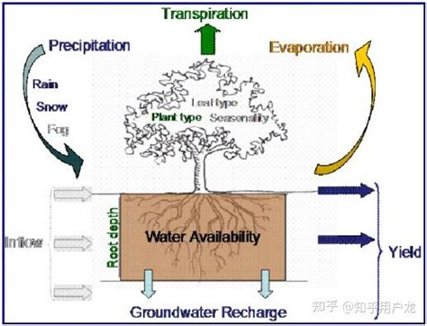 基于生态系统服务（invest模型）的人类活动、重大工程生态成效评估、论文写作 知乎