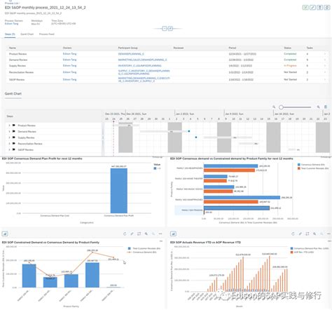 Apo的全面进化之路（2）：走向ibp、建设端到端供应链计划体系 Sap Ibp Ppds Csdn博客