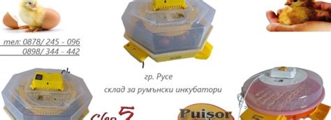 Румънски инкубатори Клео 5 и Premium