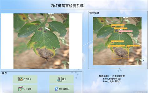 西红柿叶病害检测（yolov8模型，从图像、视频和摄像头三种路径识别检测，包含登陆页面、注册页面和检测页面）