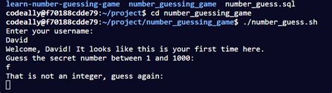 Numberguess Game Tests Issue Backend Development The Freecodecamp