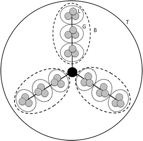 e hierarchical sampling design used to estimate the spatial pattern of