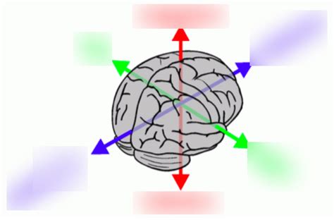 120a Lecture 1 And 2 Diagram Quizlet
