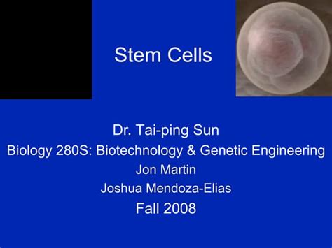 Induced Pluripotent Stem Cells Ppt