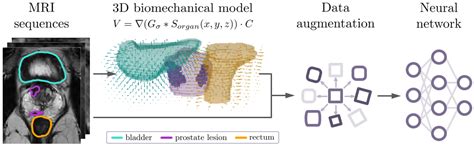 Github Mic Dkfzanatomyinformedda